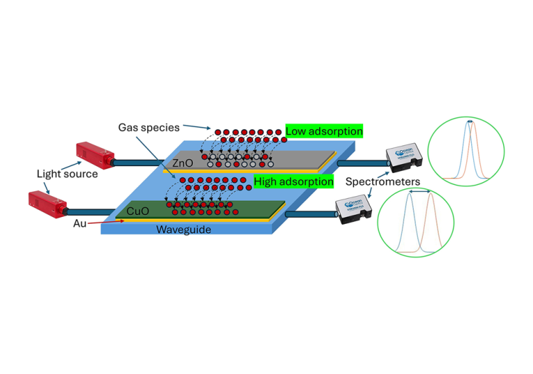HMR-Based Optical Gas Detection With CuO and ZnO